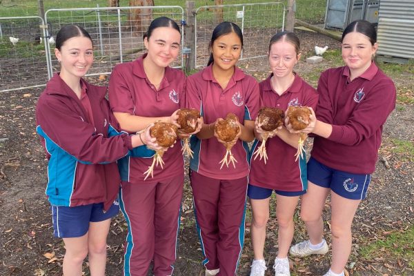 Ag plot update - St Brigid’s Catholic College